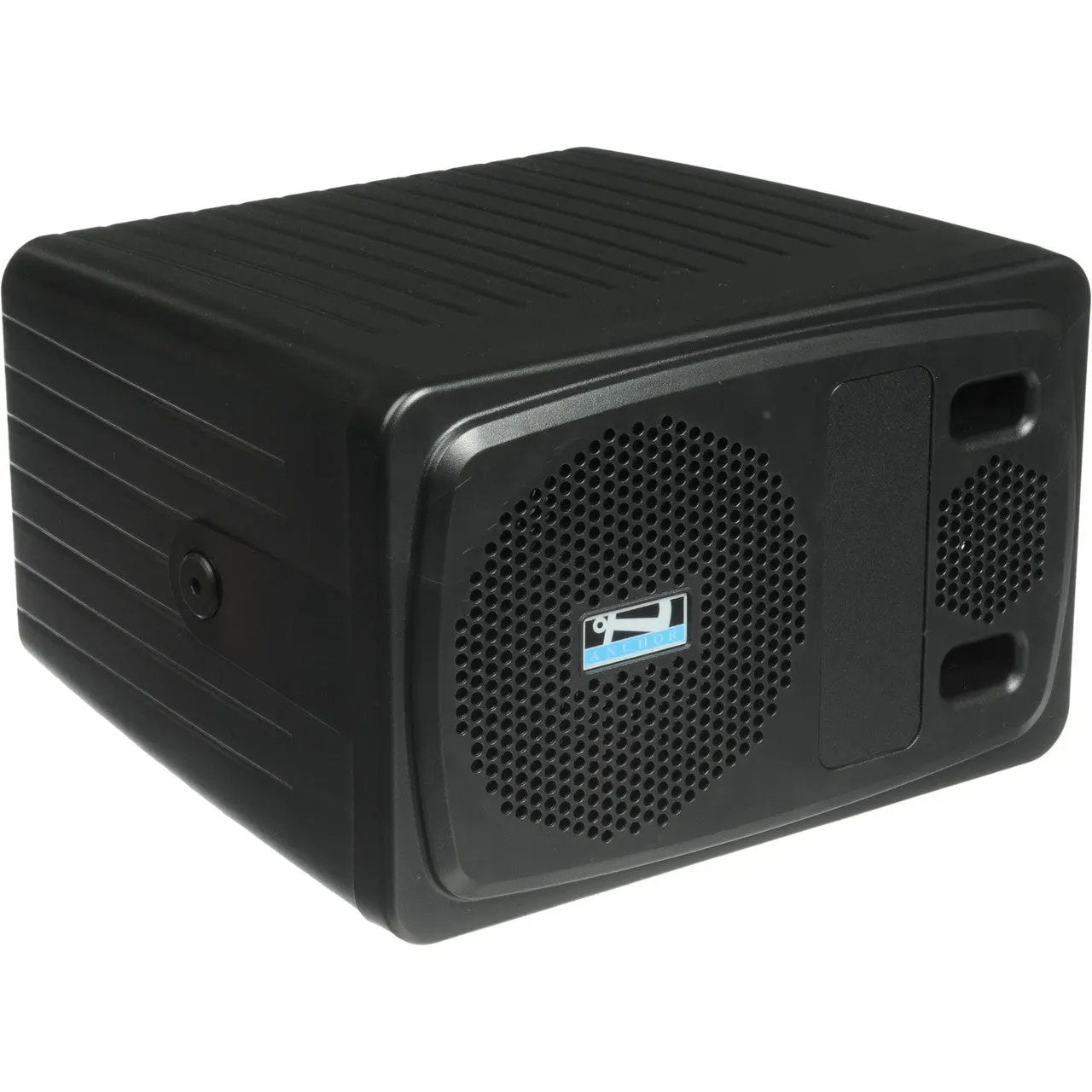 Experience the Power of Anchor Audio AN-1000X+ Speaker – Protech ...