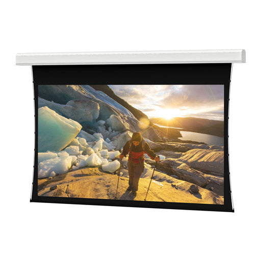 Da-Lite 21782 Tensioned Advantage 275" Recessed Projection Screen ...